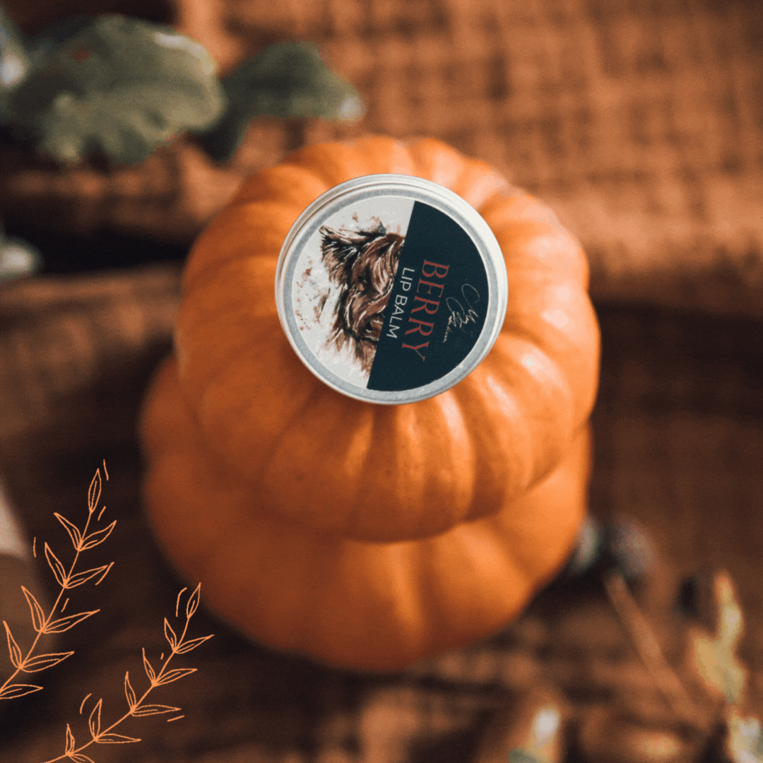 Accessories by Meg Hawkins | Watercolour Artist