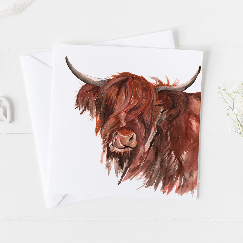 Highland Cow by Meg Hawkins