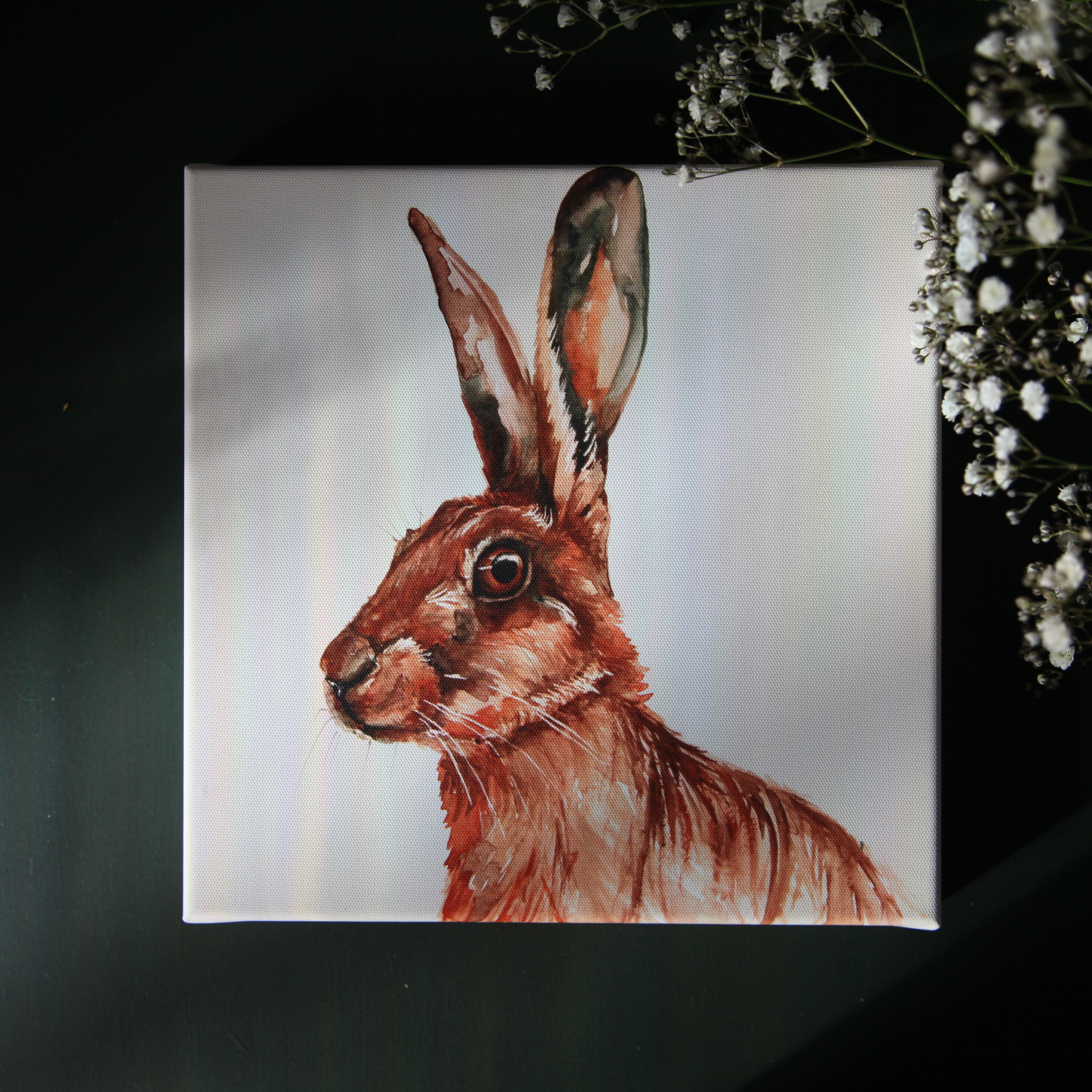 Hare Design Watercolour Canvas
